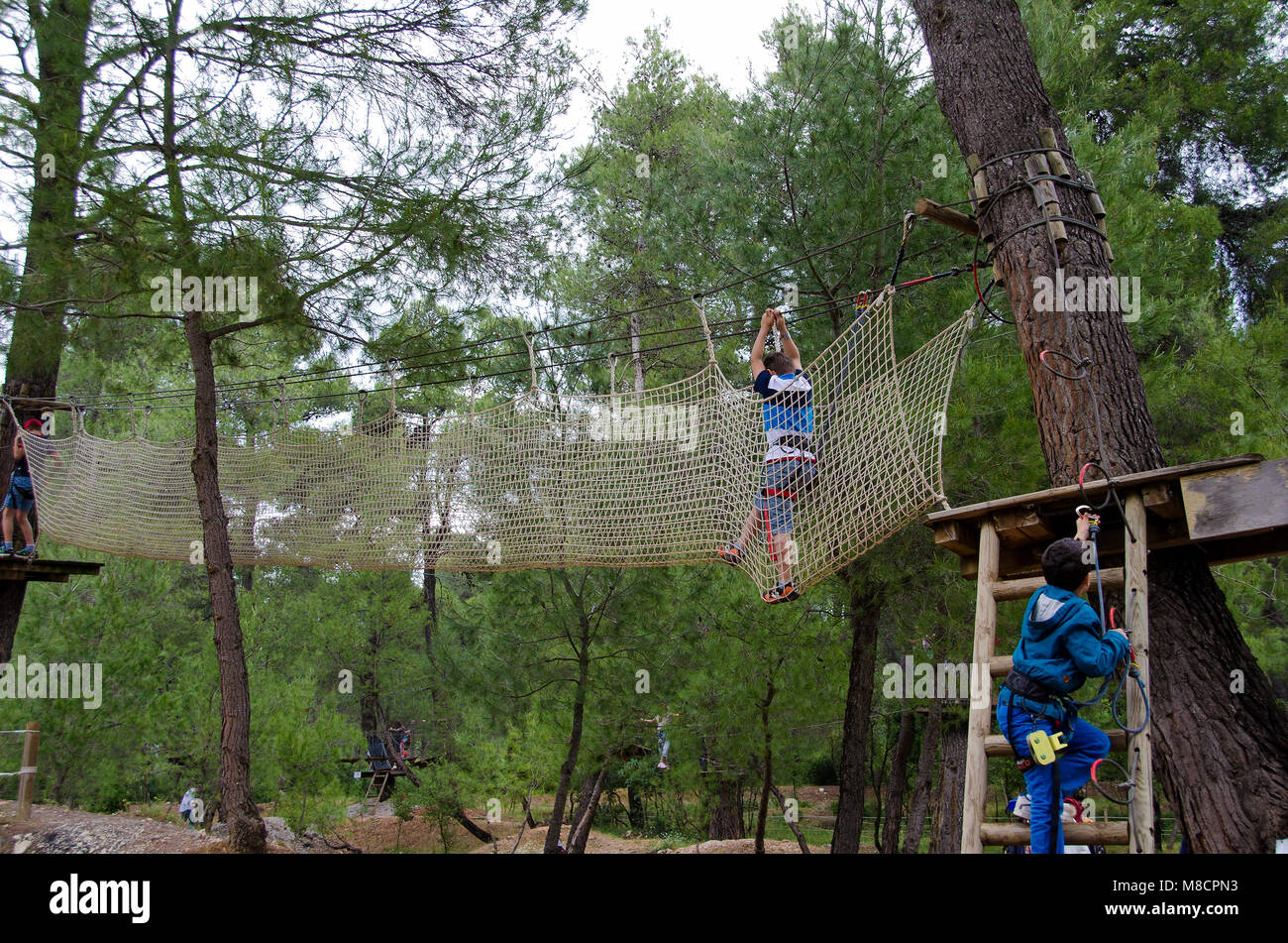 Leisure and activities on nature. Small boy hanging and walking on ...