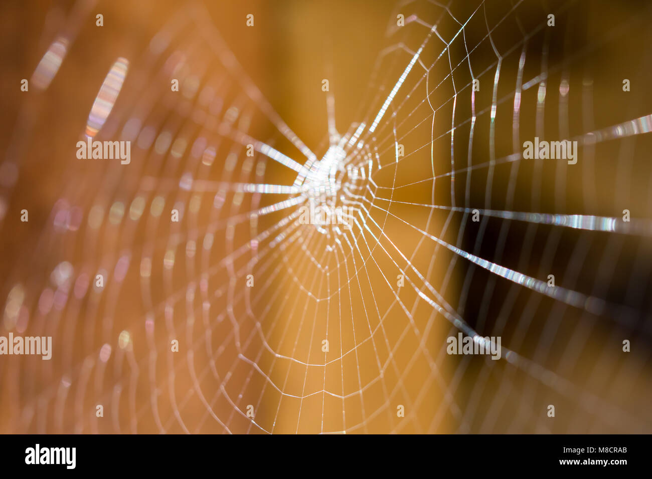 Cobweb empty hi-res stock photography and images - Alamy