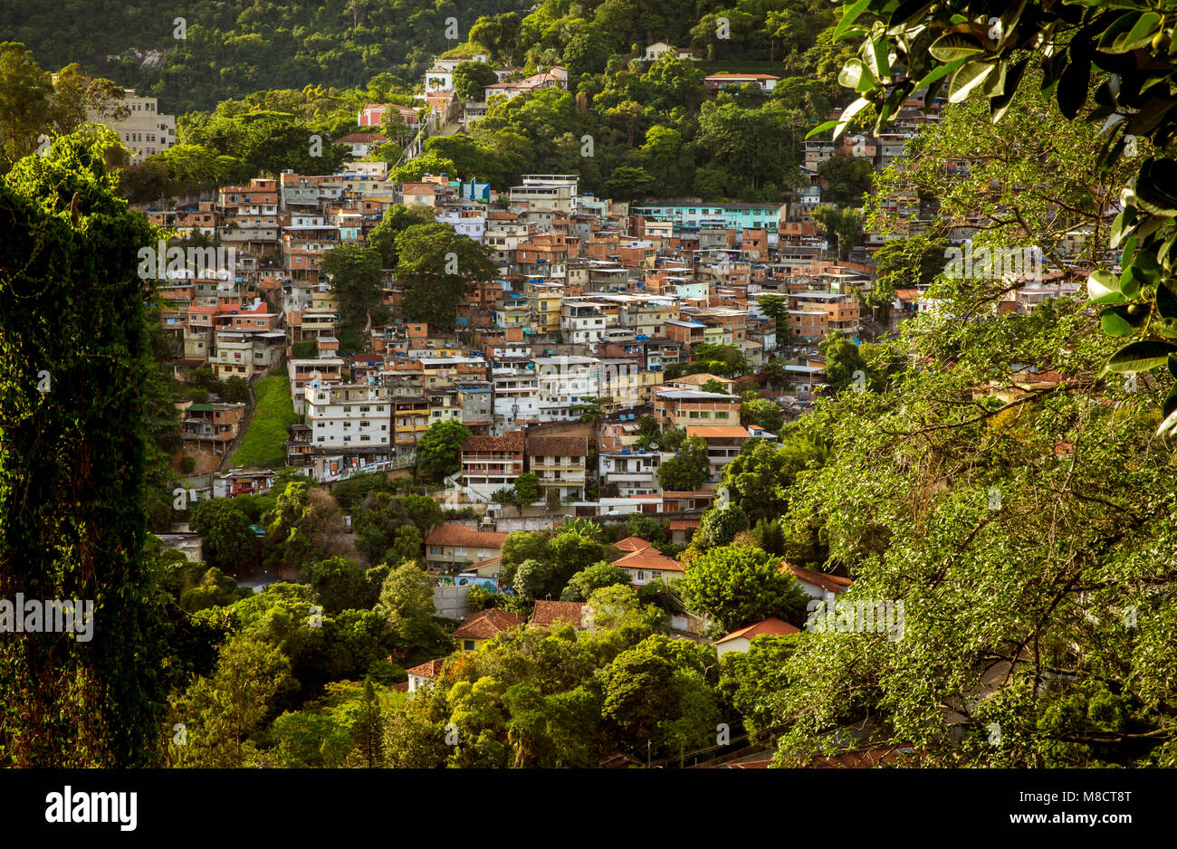 Aerial view of Favela in Cosme Velho in Rio de Janeiro, Brazil Stock ...