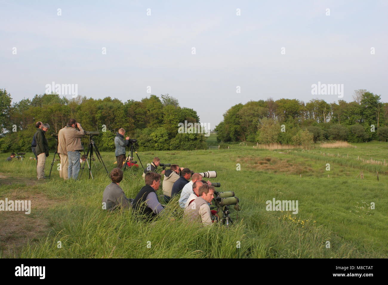 Vogelaars kijken naar zeldzame vogel; Birdwatchers looking at rare bird ...