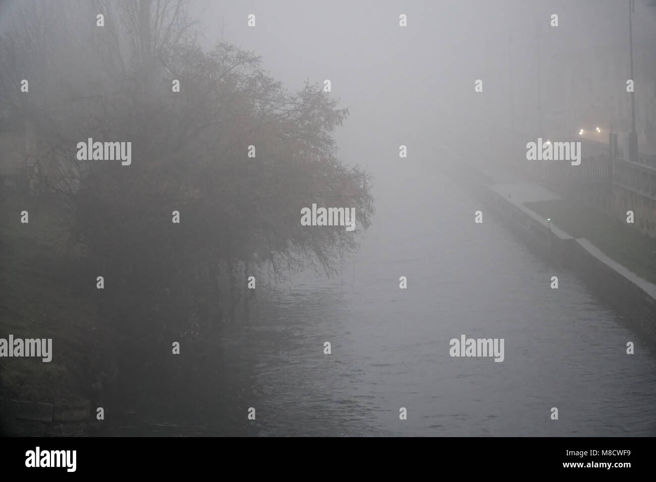 Foggy water canal channel with trees on river bank Stock Photo - Alamy