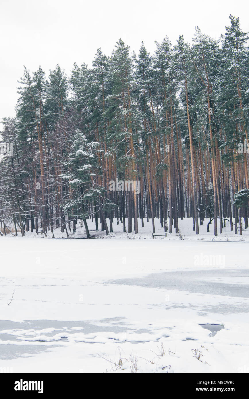 frozen lake and trees in snowy park Stock Photo - Alamy