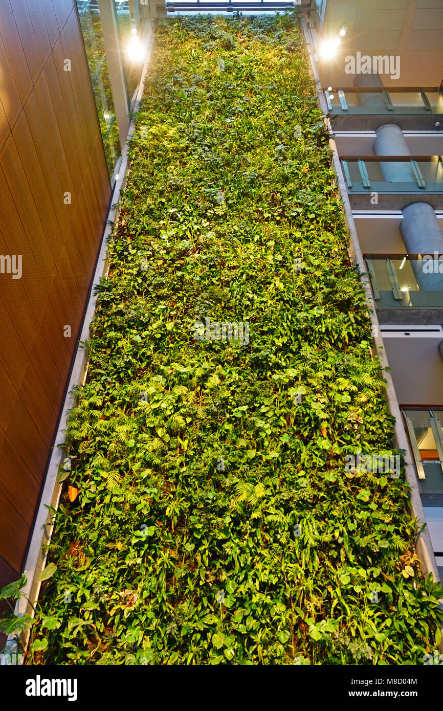Living wall plant architecture hi-res stock photography and images - Alamy