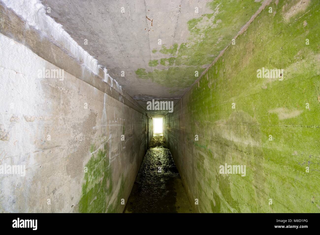 Tunnel made of reinforced concrete - entrance to bunker belonged to ...