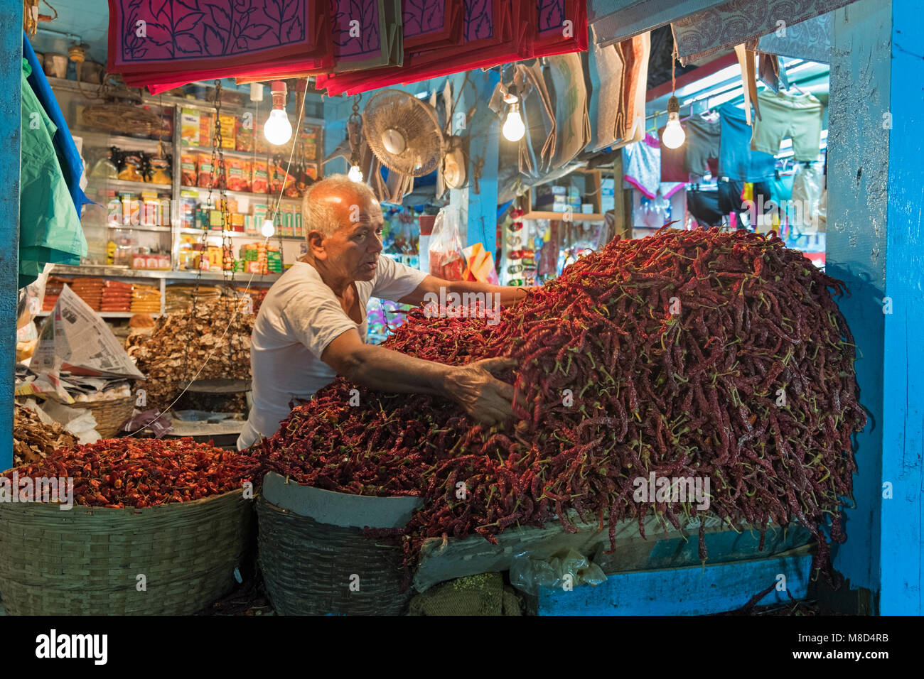 Chillies india hi-res stock photography and images - Alamy