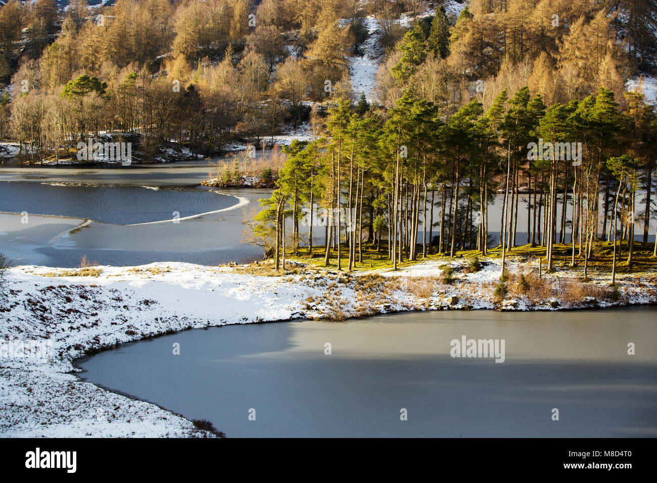 A partially frozen Tarn Hows in the Lake District, UK Stock Photo - Alamy