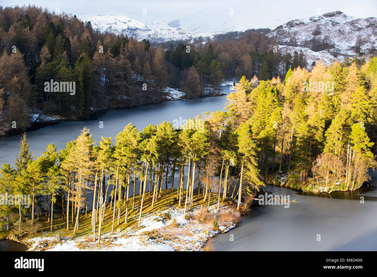 A partially frozen Tarn Hows in the Lake District, UK Stock Photo - Alamy