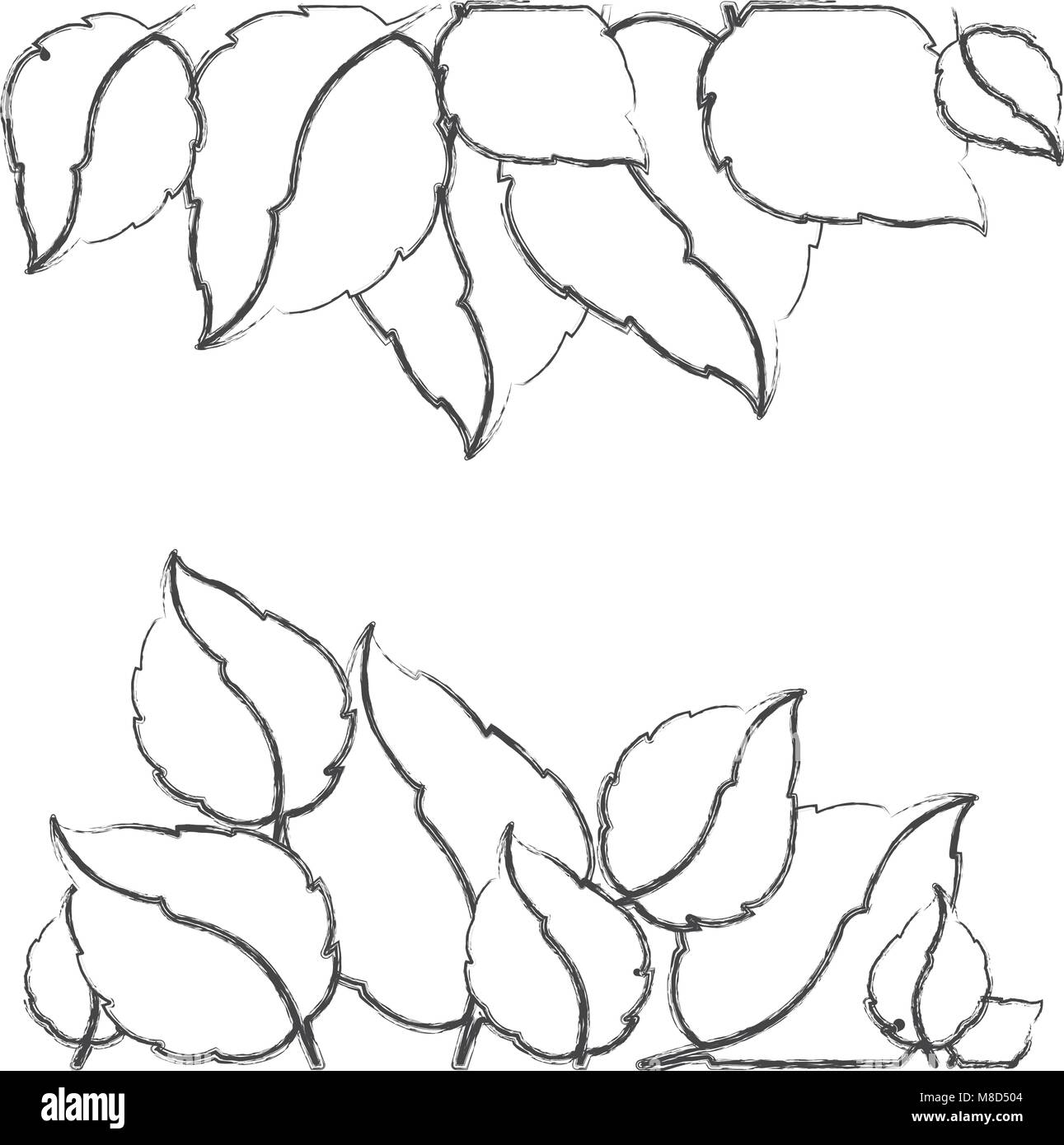 monochrome sketch set of leaves in two rows Stock Vector Image & Art ...