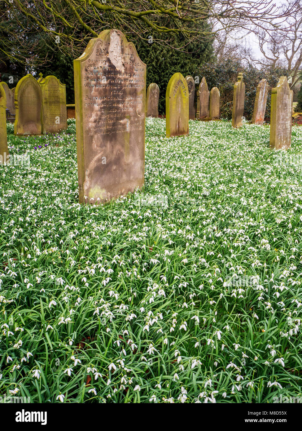 Churchyard of st thomas a becket church hi-res stock photography and ...