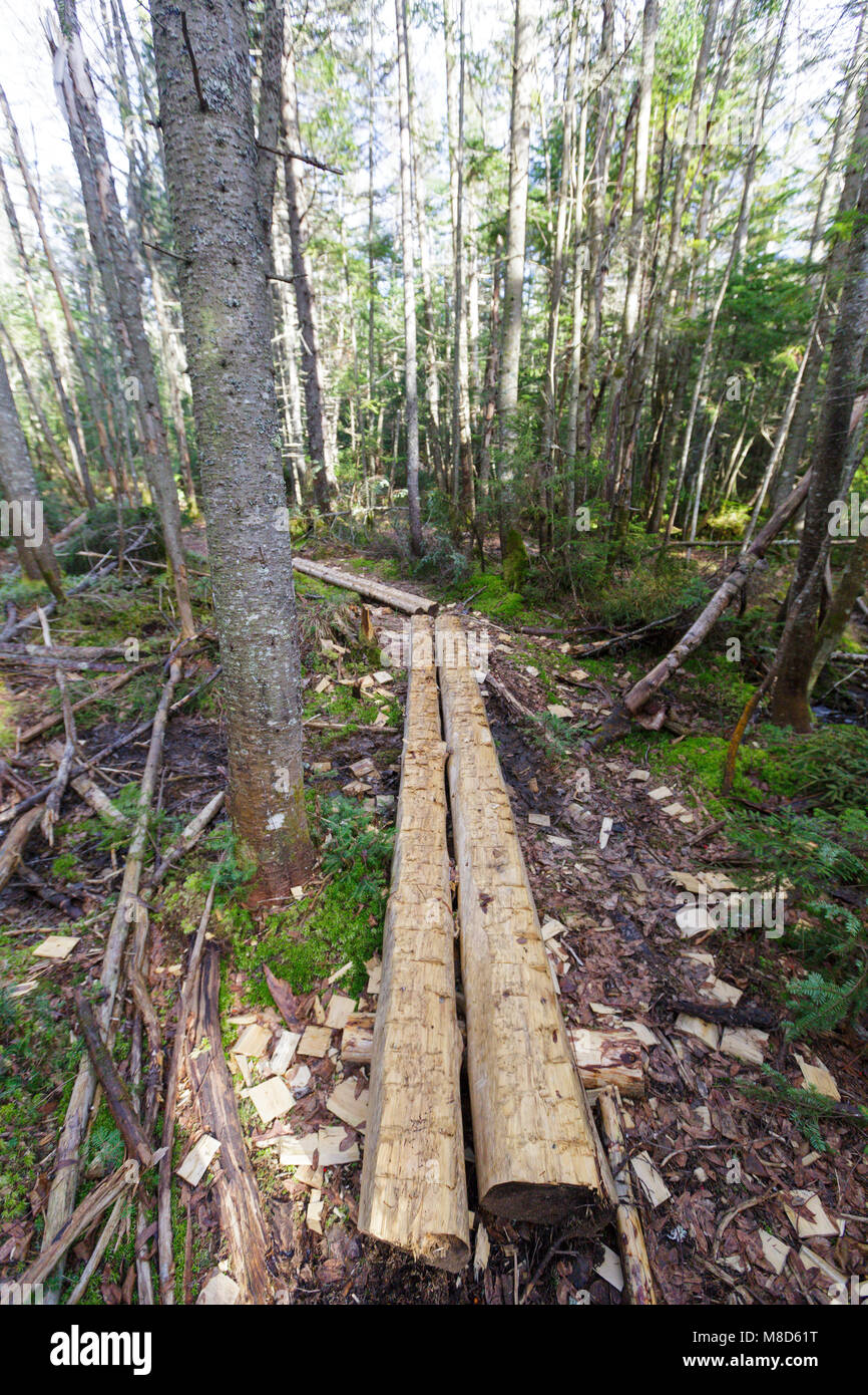 Puncheons hi-res stock photography and images - Alamy