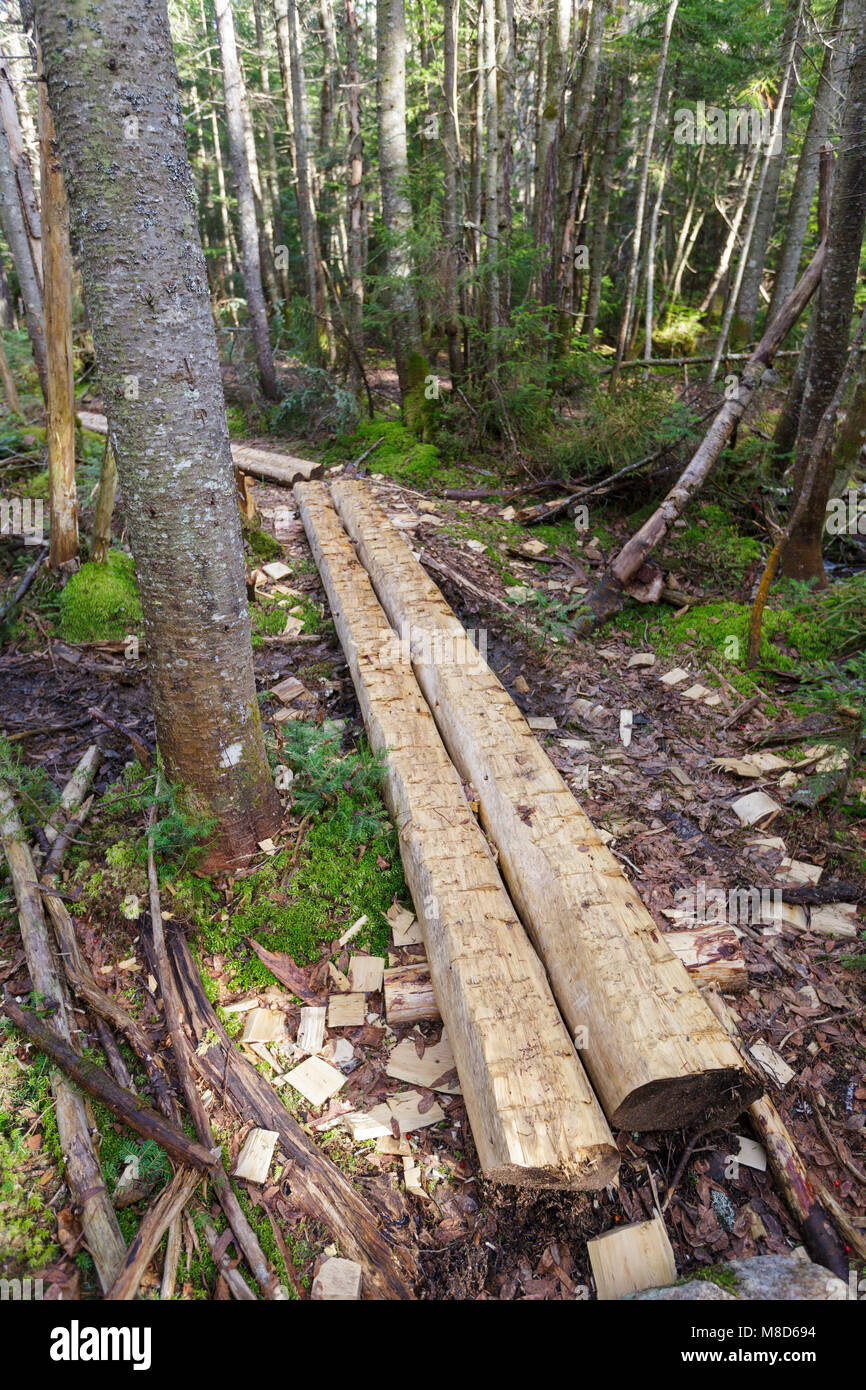 Puncheons hi-res stock photography and images - Alamy