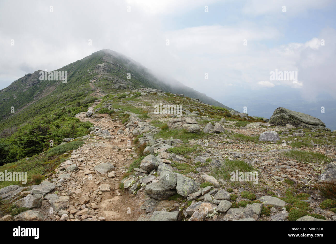 Foggy conditions along the Appalachian Trail (Franconia Ridge Trail) in ...