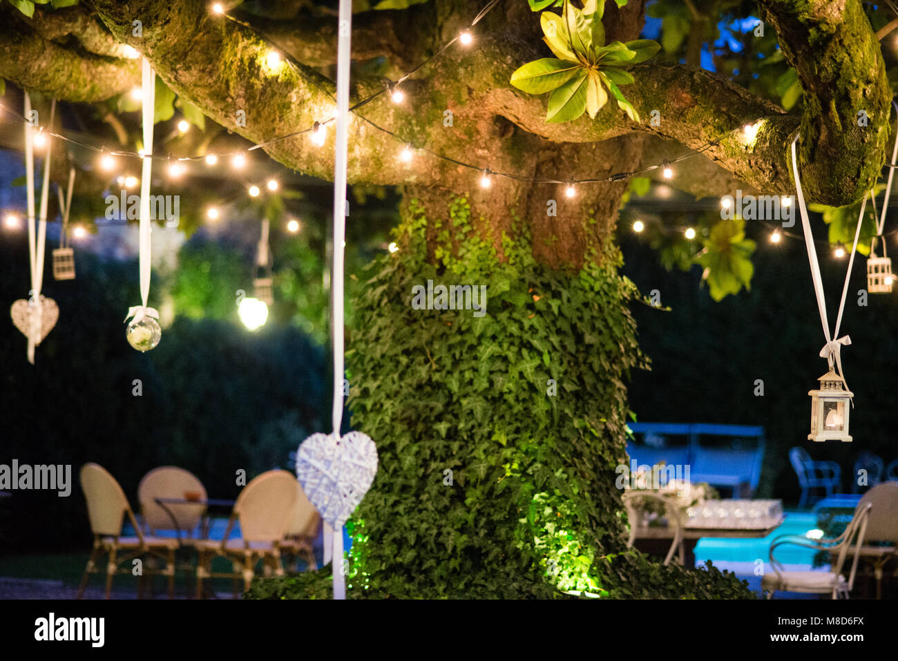 villa garden with large magnolia tree with many lanterns and electric ...
