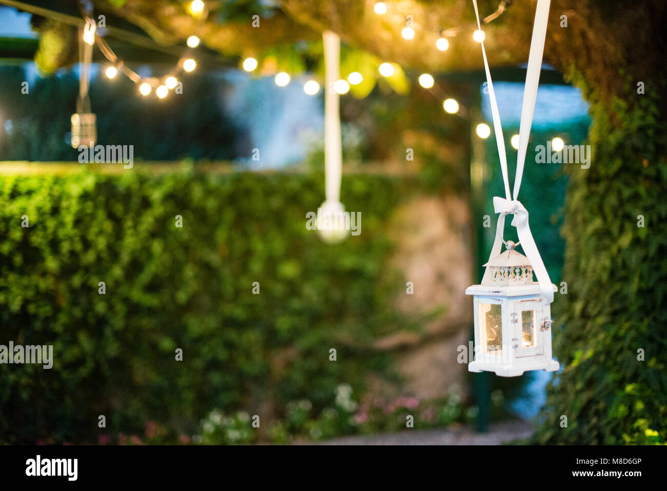 villa garden with large magnolia tree with many lanterns and electric ...