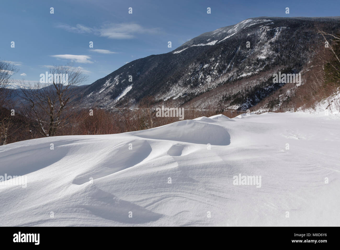 Crawford Notch State Park - Willey Range from the Maine Central ...