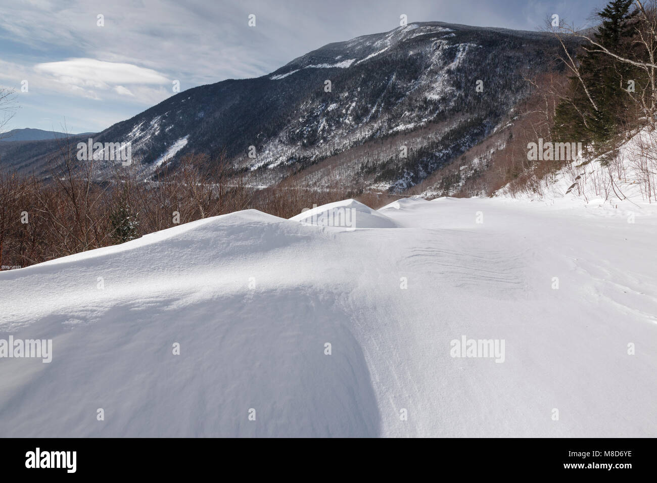 Crawford Notch State Park - Willey Range from the Maine Central ...