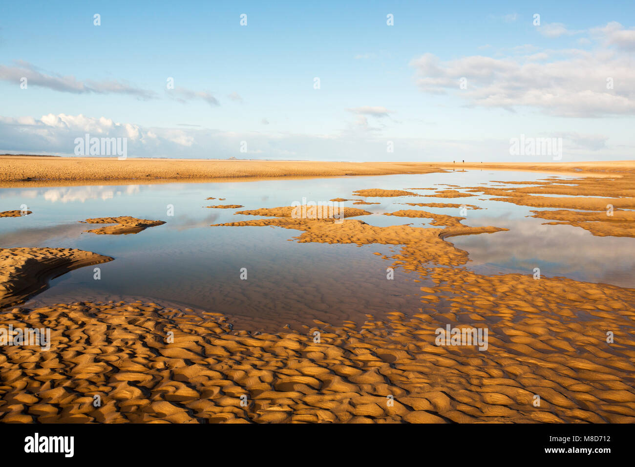 Wave marks on sand at Budle Bay at low tide, Northumberland, UK Stock ...