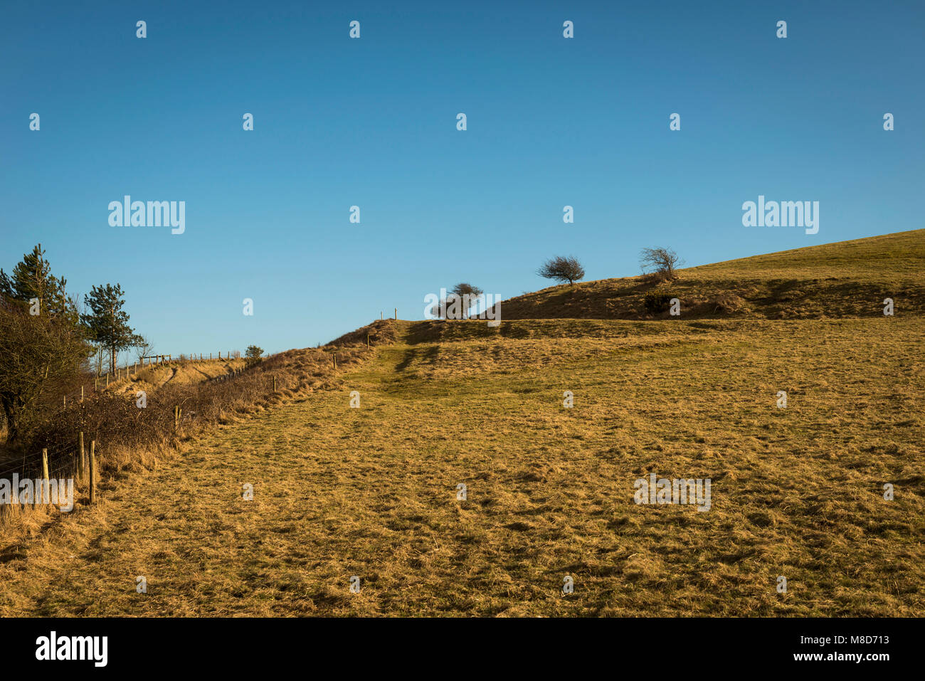 Steep Down in the South Downs National Park near Sompting, West Sussex ...