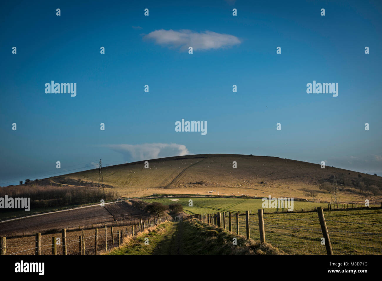 Steep Down in the South Downs National Park near Sompting, West Sussex ...