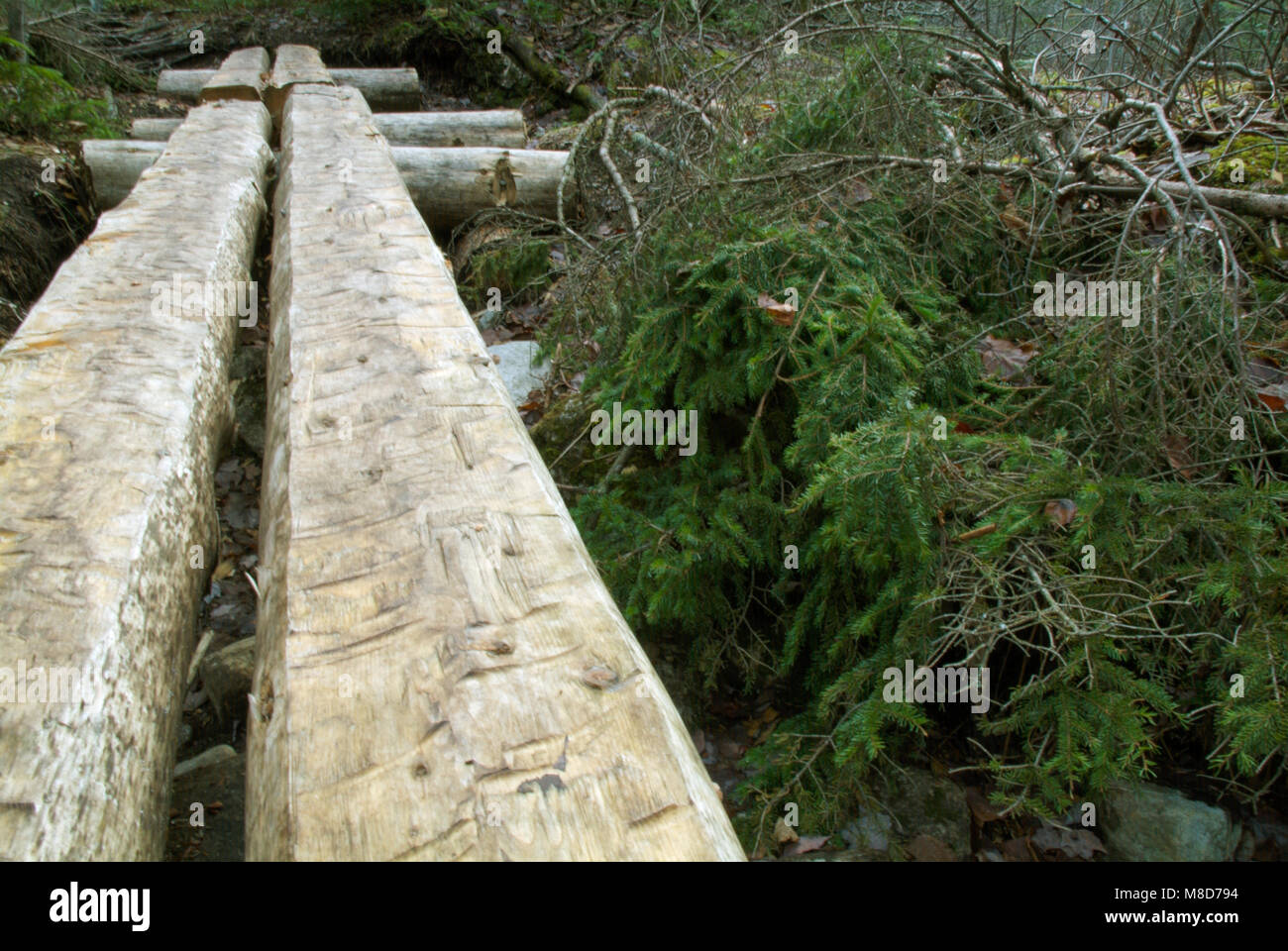 Puncheons High Resolution Stock Photography and Images - Alamy