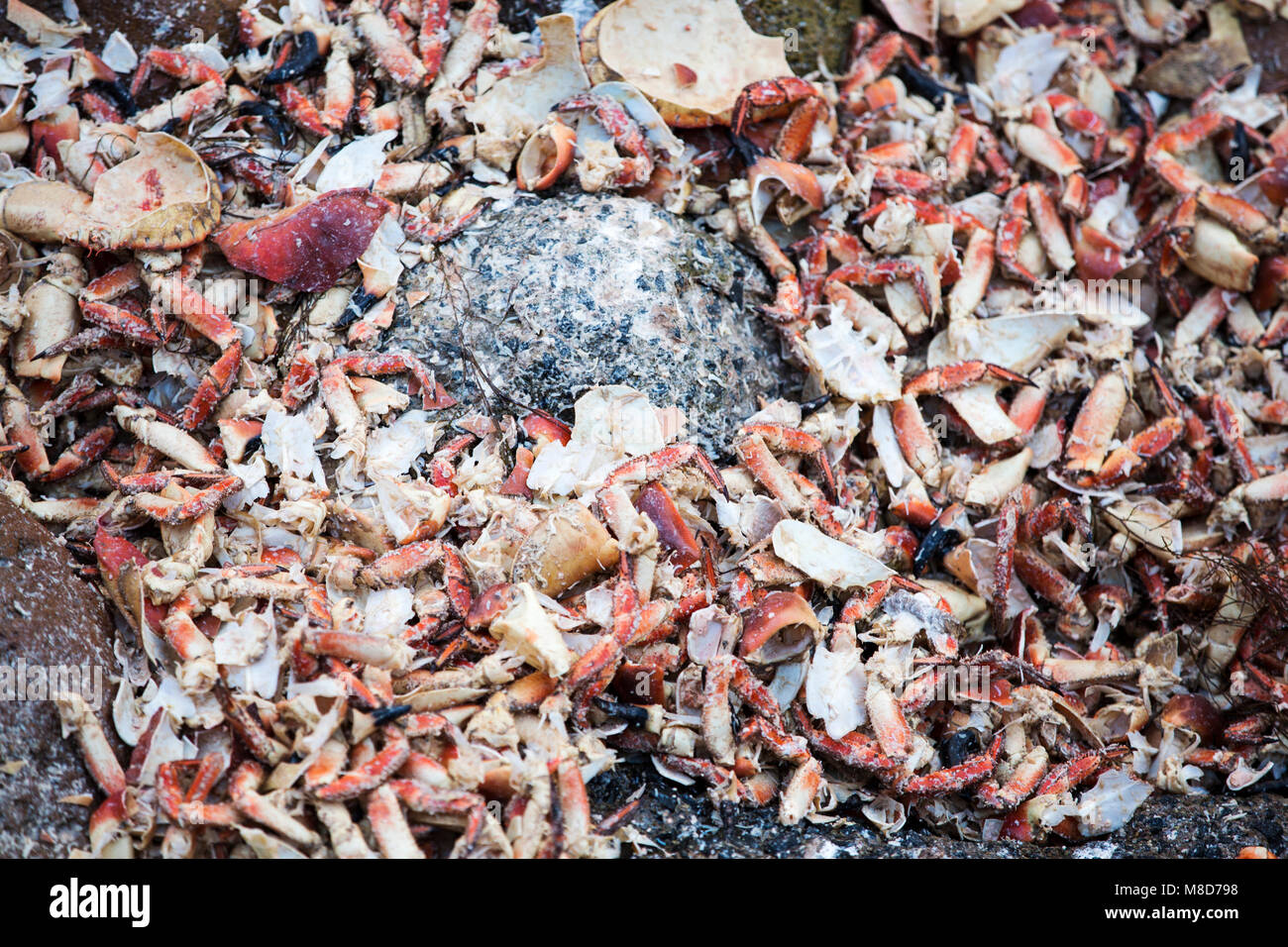 Crab shells waste hi-res stock photography and images - Alamy