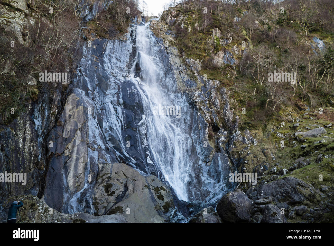 Coedydd aber national nature reserve hi-res stock photography and ...