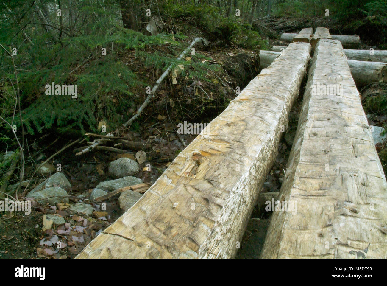 Puncheons High Resolution Stock Photography and Images - Alamy