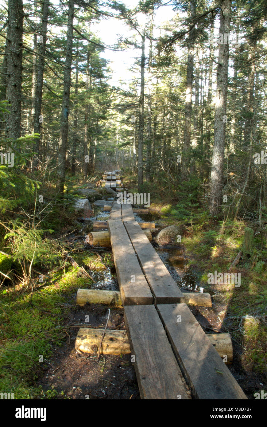 Puncheons High Resolution Stock Photography and Images - Alamy