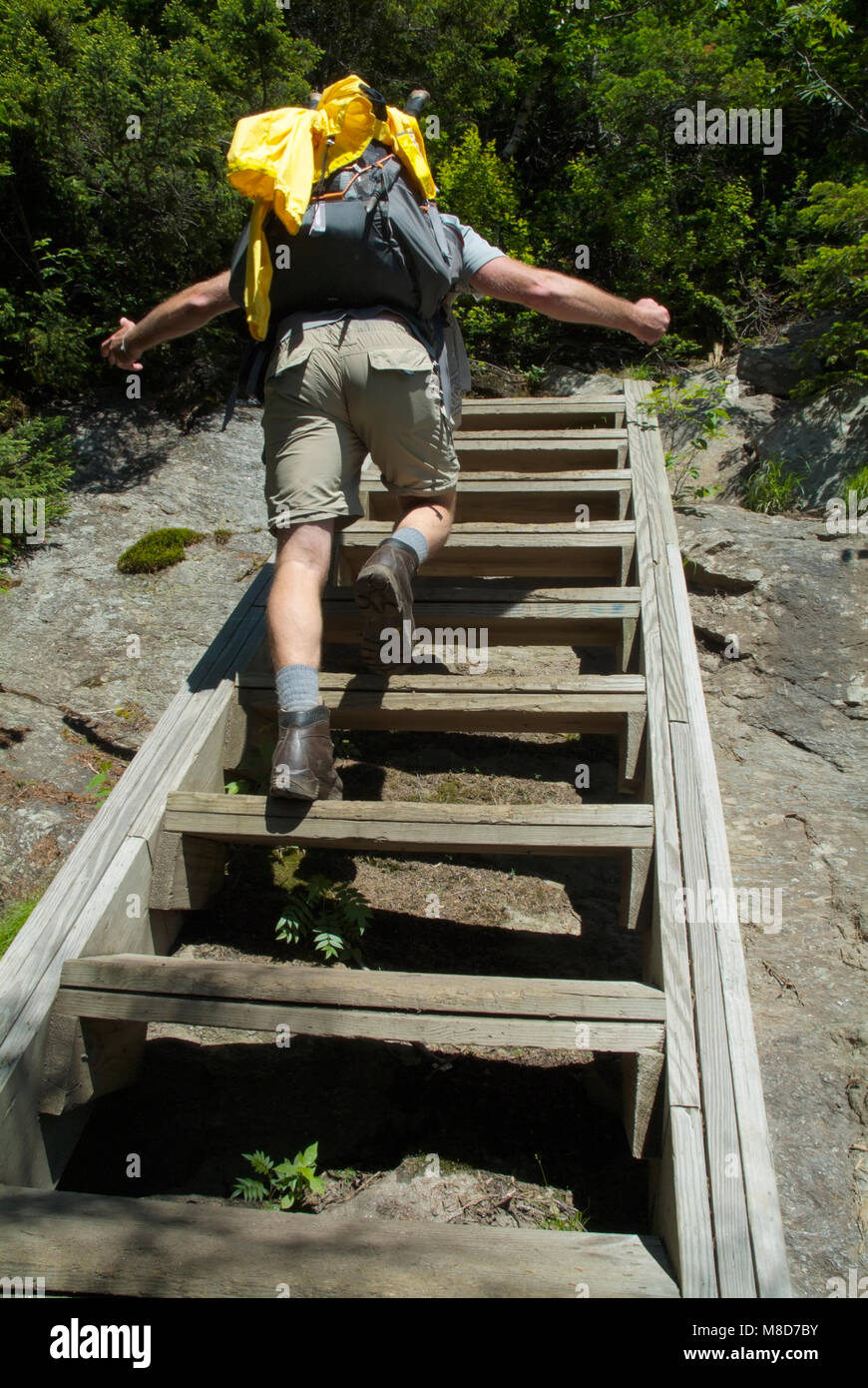 A wooden trail staircase along Lion Head Trail during the summer months ...