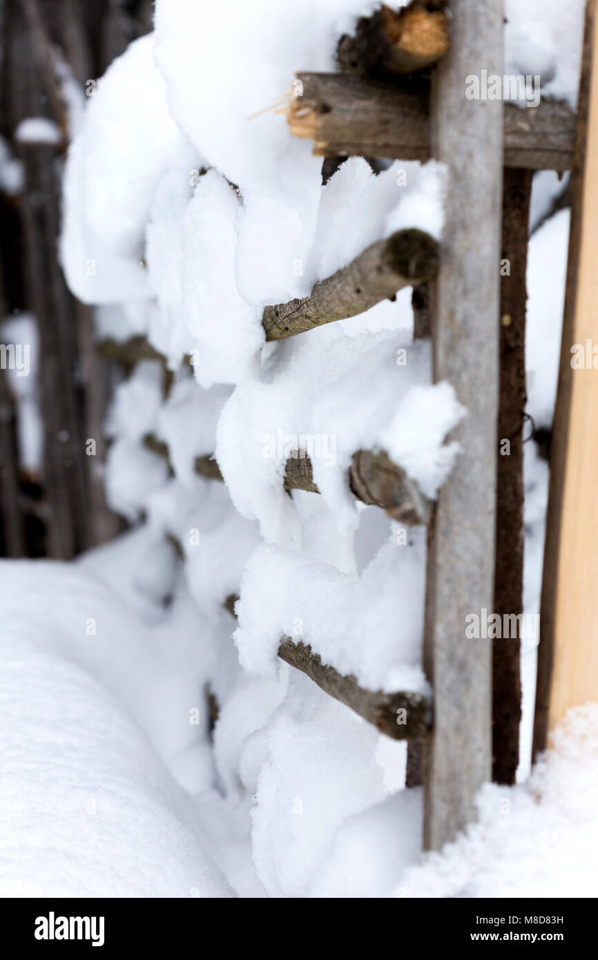 Split rail fence with snow hi-res stock photography and images - Alamy