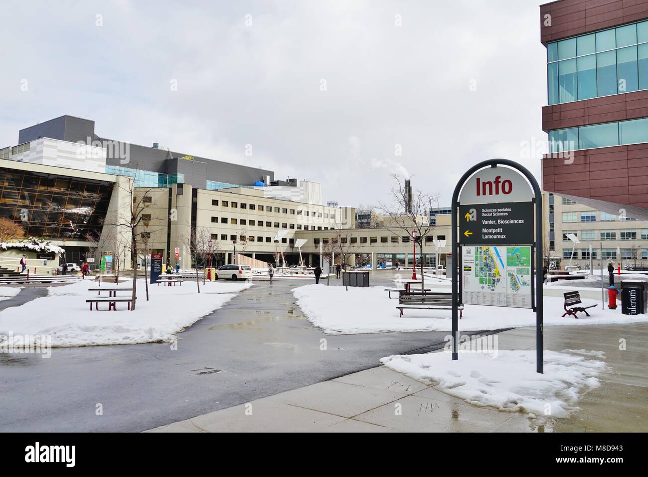 View of the campus of the University of Ottawa near University Square ...