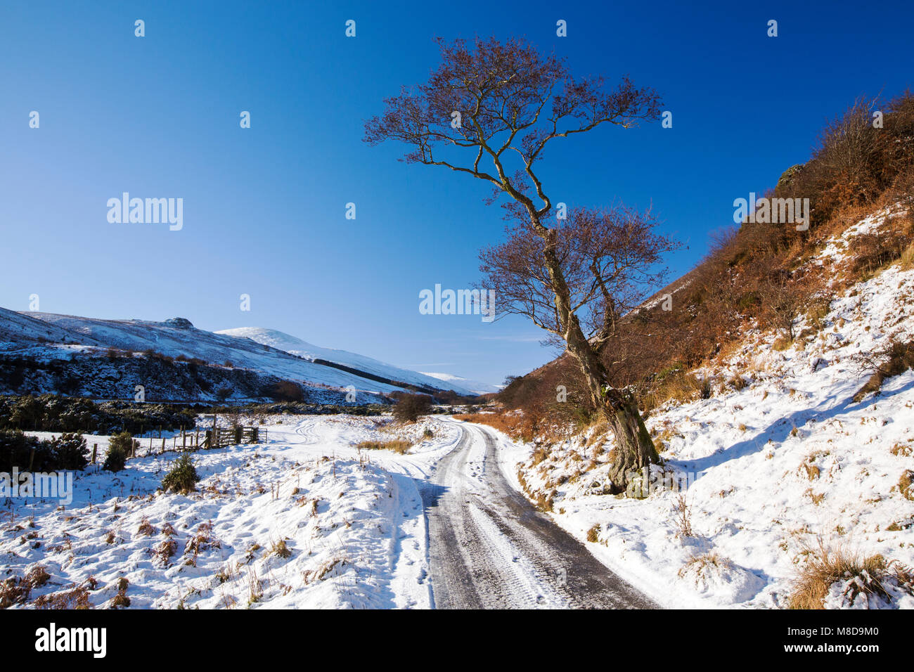 Snow in the Harthope Valley in the Cheviots above Wooler ...