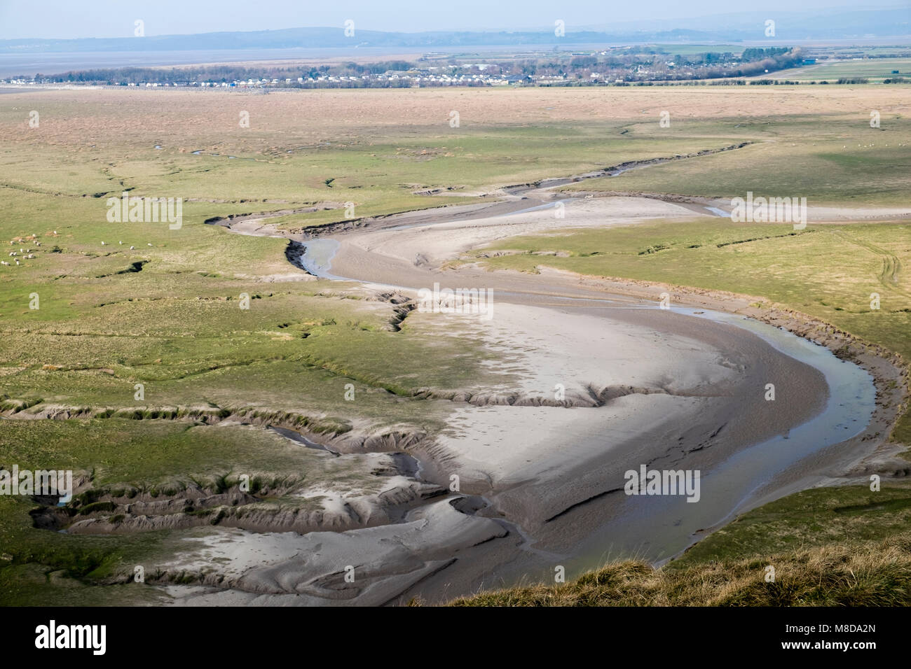 Grazing Marsh, Humphrey Head, Grange, Cumbria, England Stock Photo - Alamy