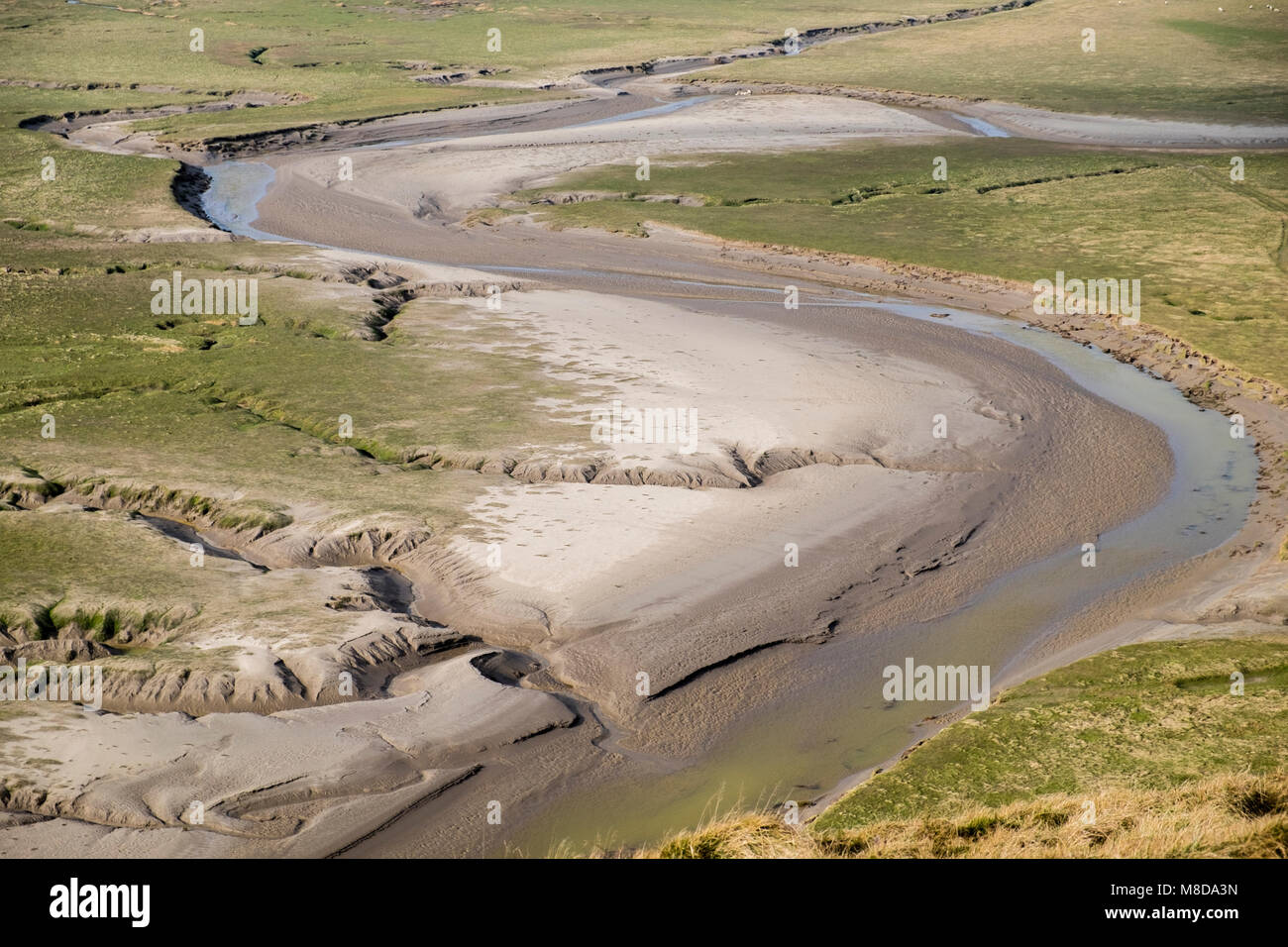 Grazing Marsh, Humphrey Head, Grange, Cumbria, England Stock Photo - Alamy