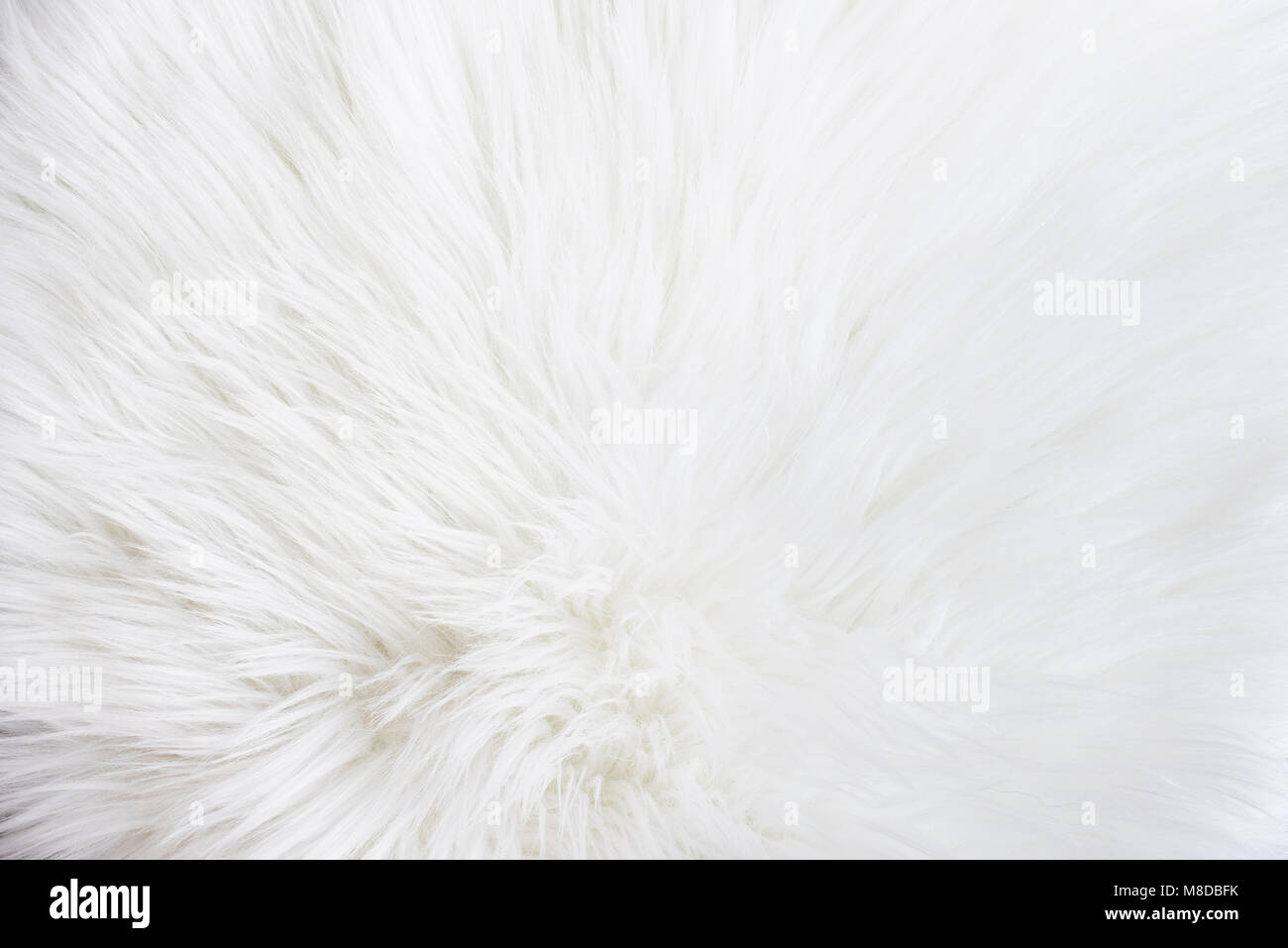 White fur texture Stock Photo - Alamy