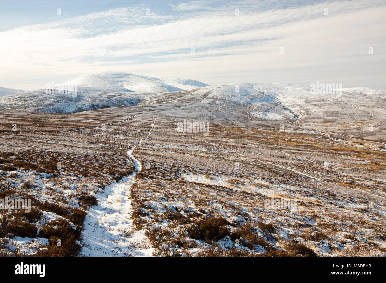 Looking towards The Cheviot from Cold Law in the Cheviots ...