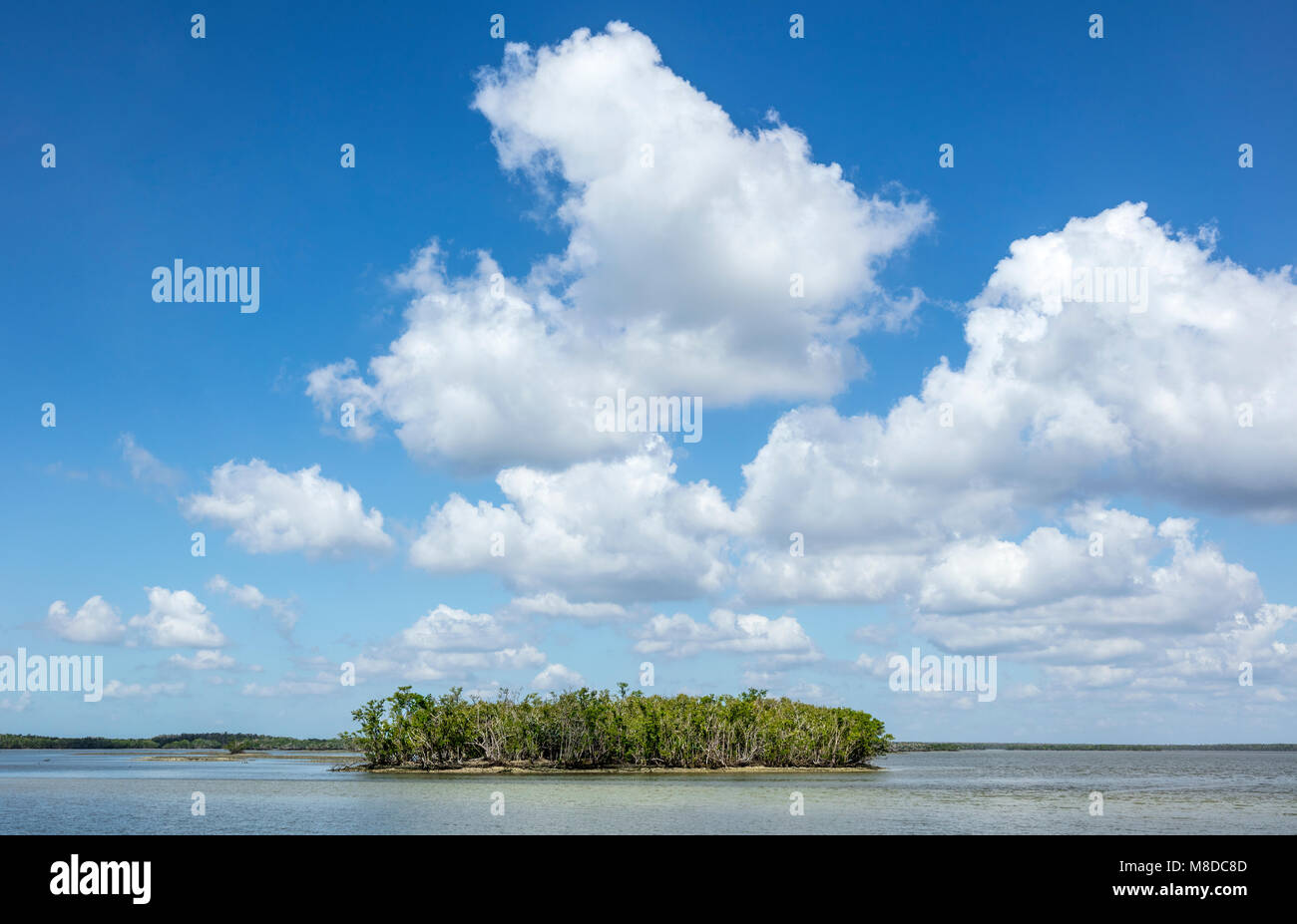 A view of Ten Thousand Islands area located in Everglades National Park ...