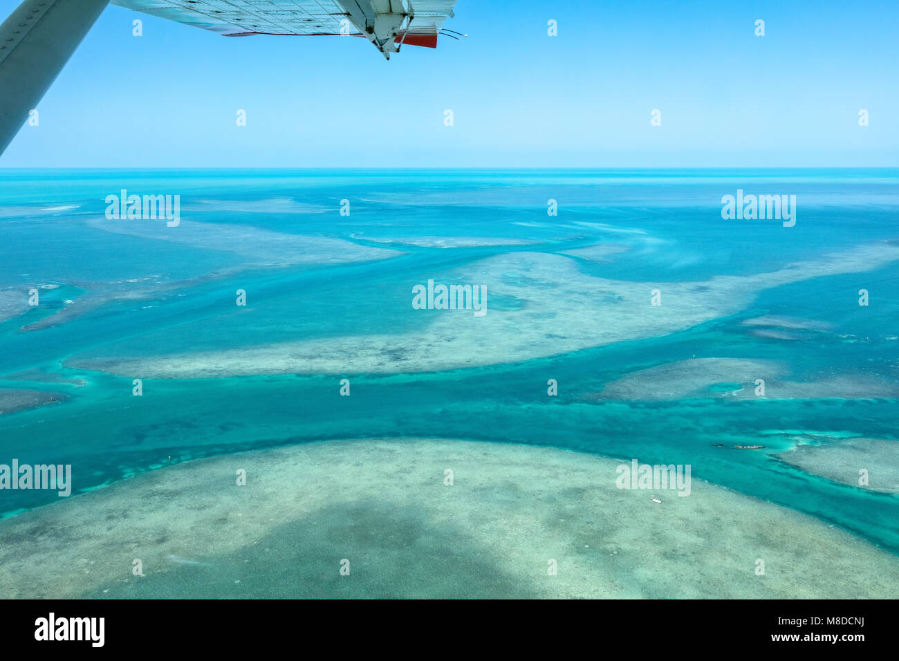 Key West Coral Reef Stock Photos & Key West Coral Reef Stock Images - Alamy