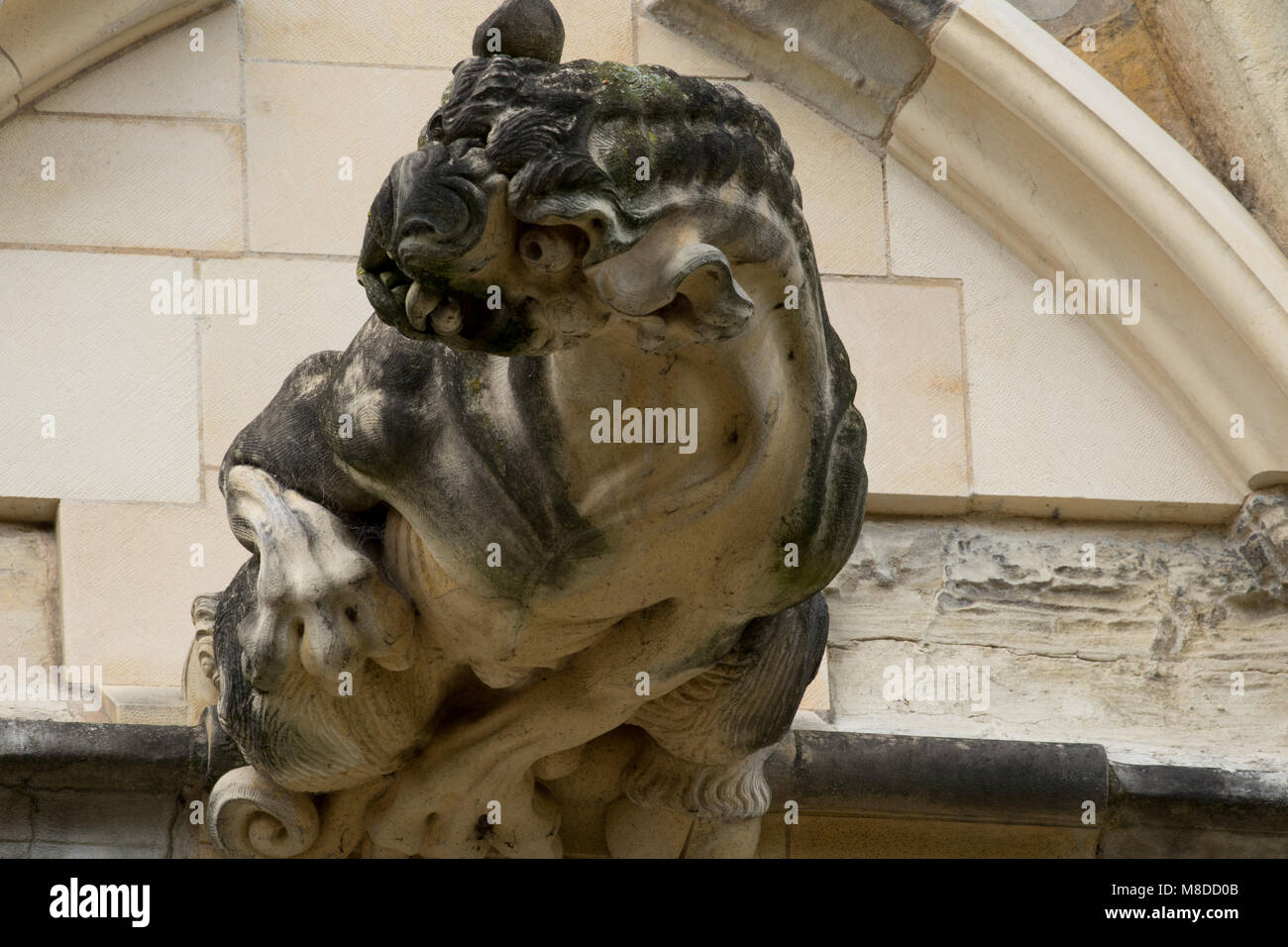 Limestone Grotesque Gargoyle on the exterior of York Minster,North ...