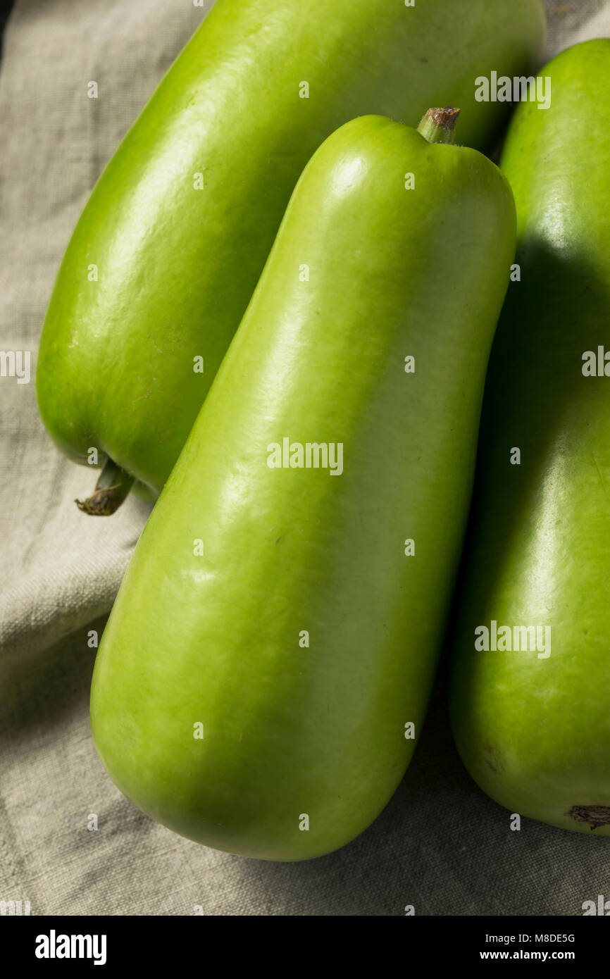 Edible squash gourd hi-res stock photography and images - Alamy