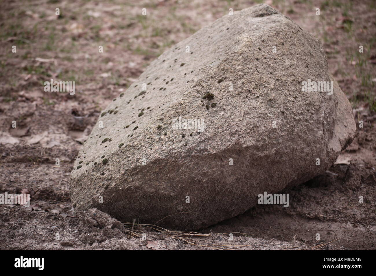 Soil block hi-res stock photography and images - Alamy