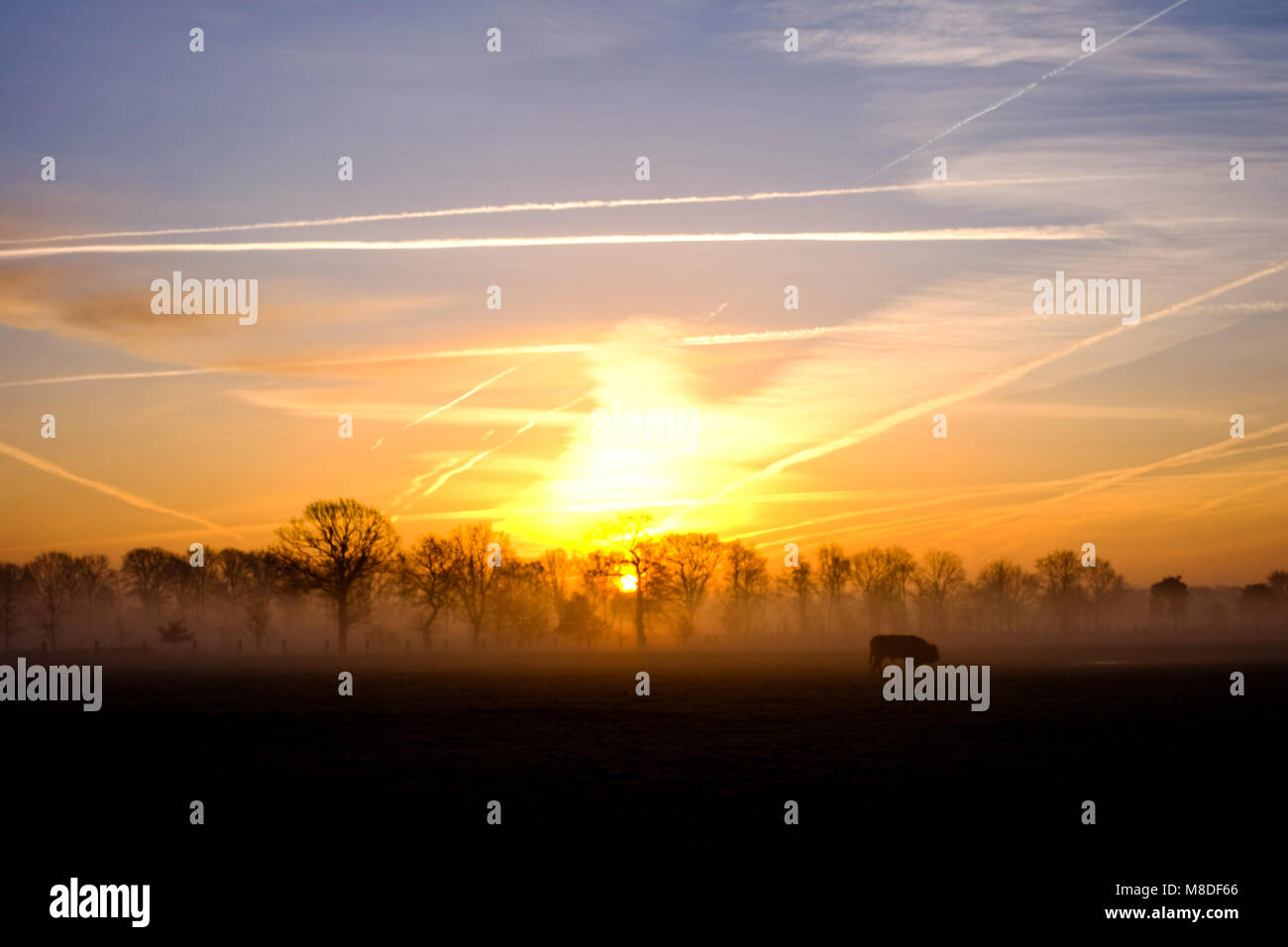 Natural dramatic sunrise sky over the countryside Stock Photo - Alamy