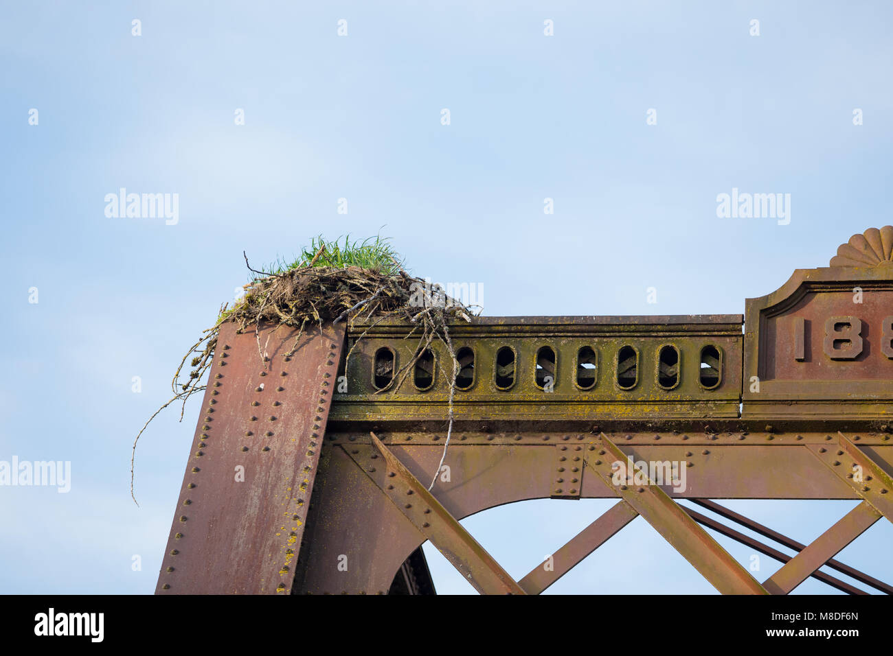 Eagle Nest on Bridge in Oregon Stock Photo - Alamy