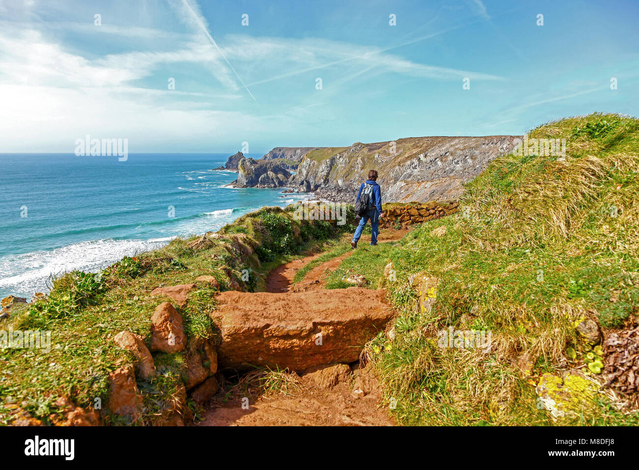 A woman walking towards Pentreath beach on the South west Coast path, Lizard Point, Cornwall ...