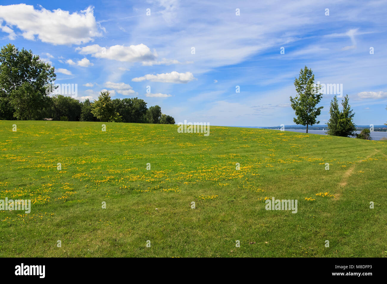 Andrew haydon park hi-res stock photography and images - Alamy