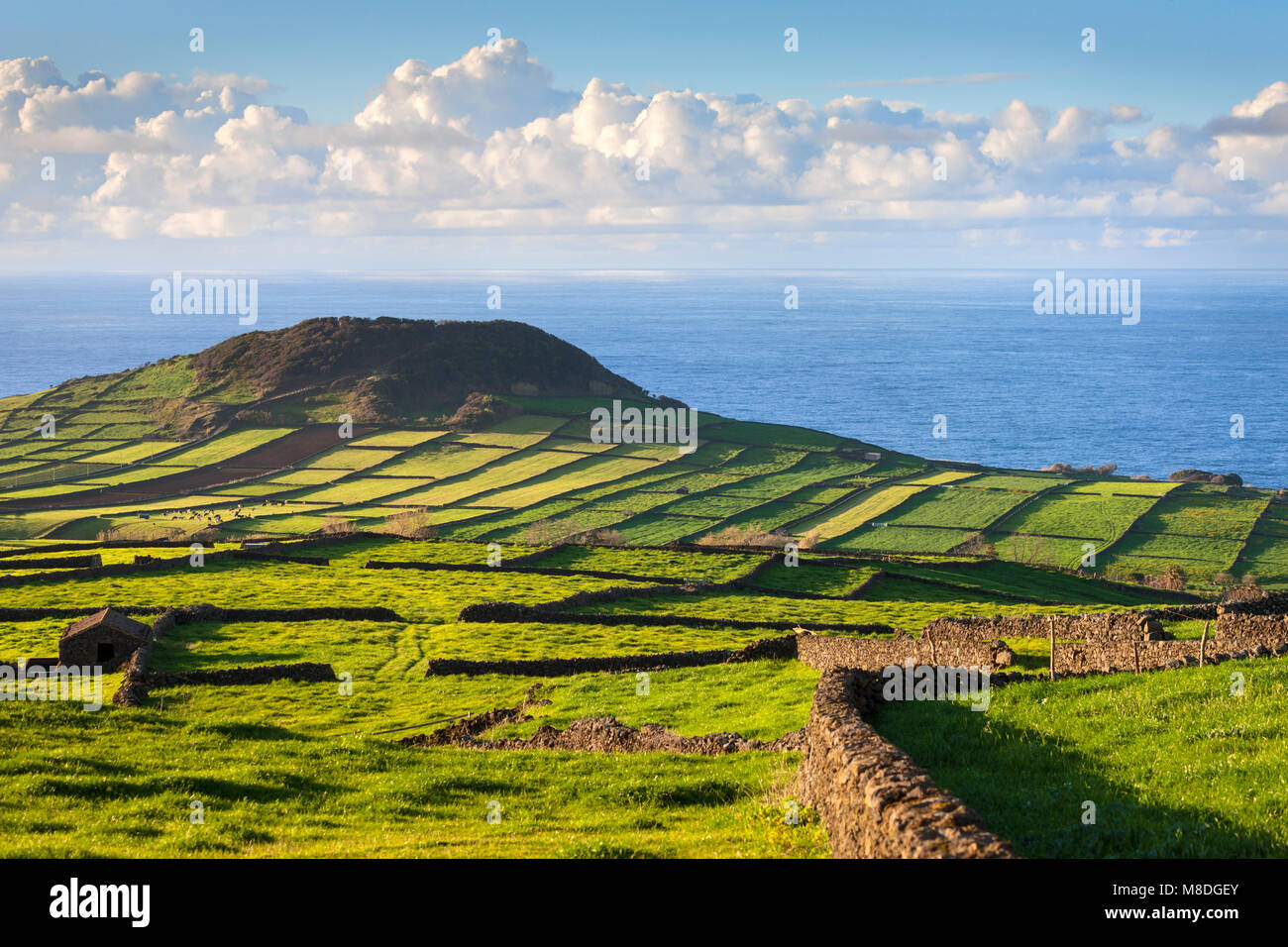 Portugal, Azoren, Terceira, Altares Stock Photo - Alamy