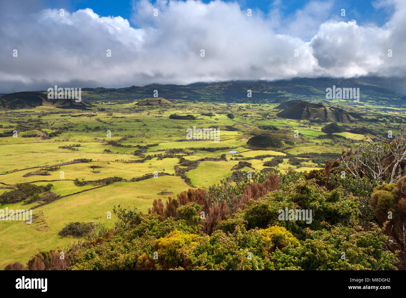 Pico da urze hi-res stock photography and images - Alamy