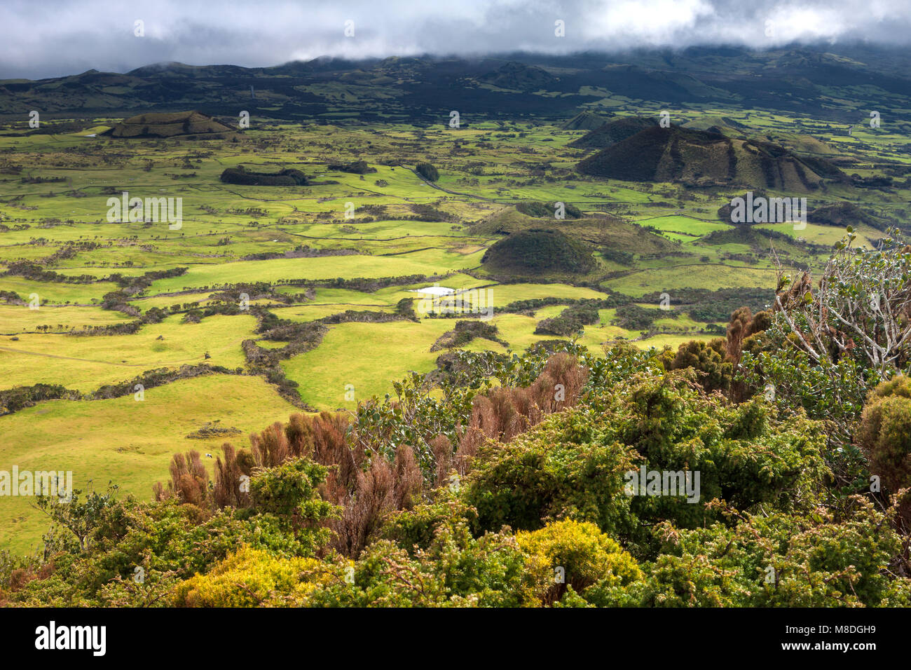 Pico da urze hi-res stock photography and images - Alamy