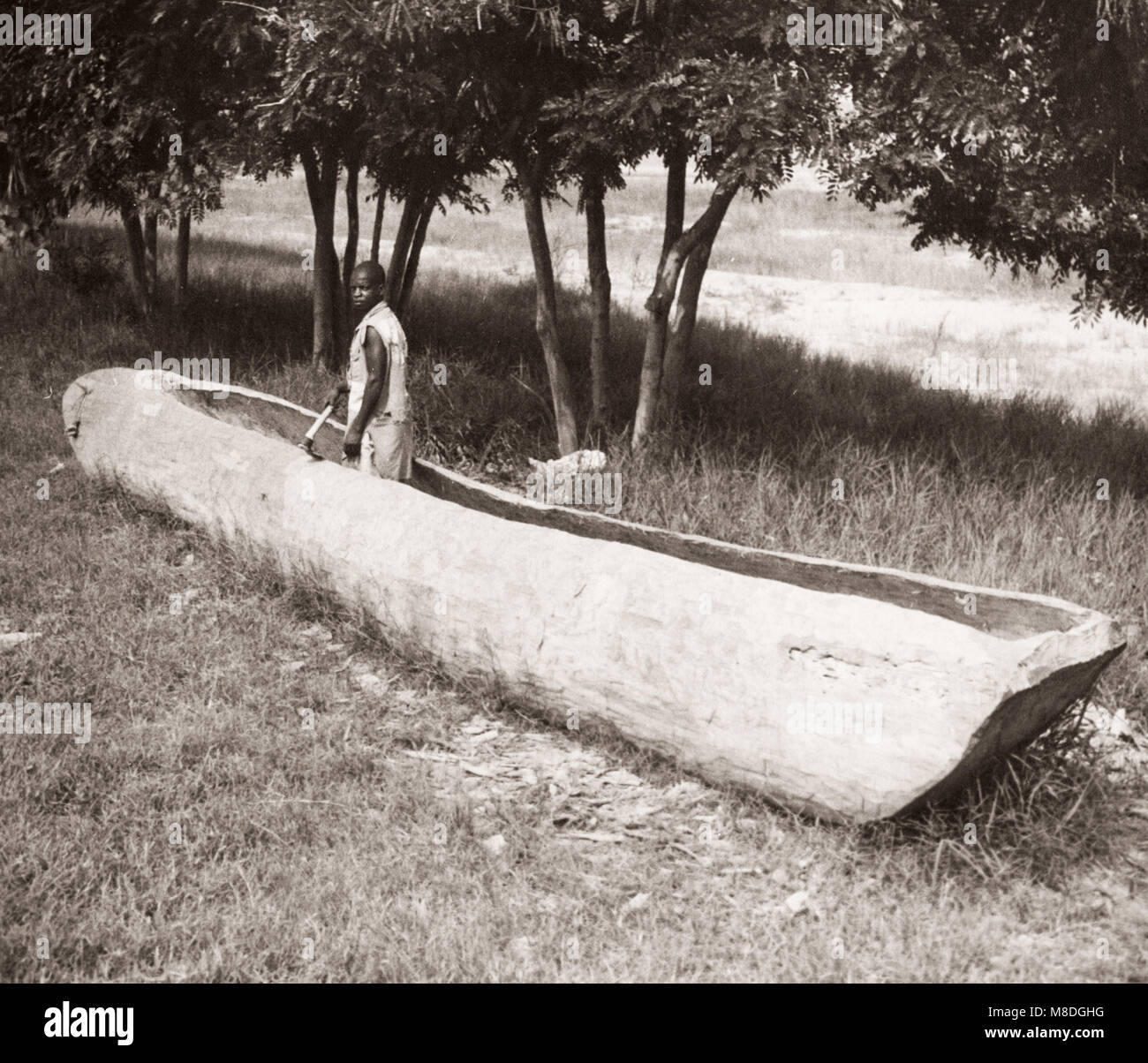 Dugout canoe making hi-res stock photography and images - Alamy