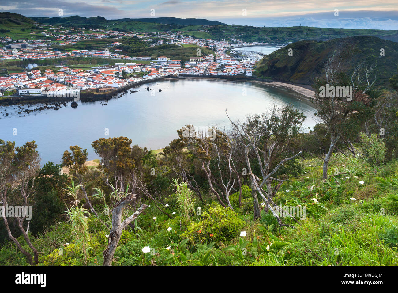 Portugal, Azoren, Faial, Horta Stock Photo - Alamy